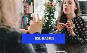 Learning BSL Basics - Access BSL