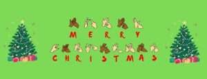 39+ Fabulous Christmas Signs in British Sign Language