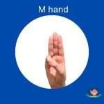 21 Handshapes that unlock sign language BSL - Access BSL
