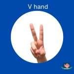 21 Handshapes that unlock sign language BSL - Access BSL