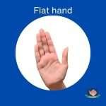 21 Handshapes that unlock sign language BSL - Access BSL