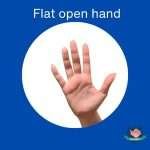 21 Handshapes that unlock sign language BSL - Access BSL