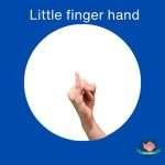 21 Handshapes that unlock sign language BSL - Access BSL